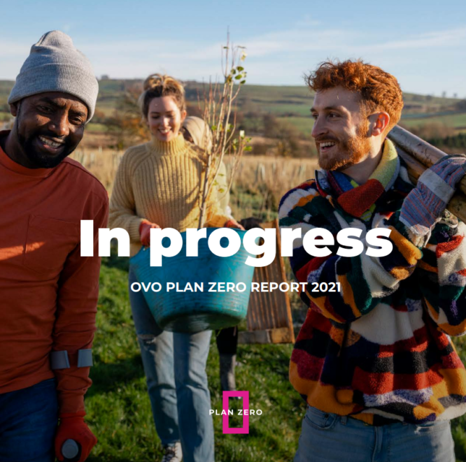 Reporting - OVO Group